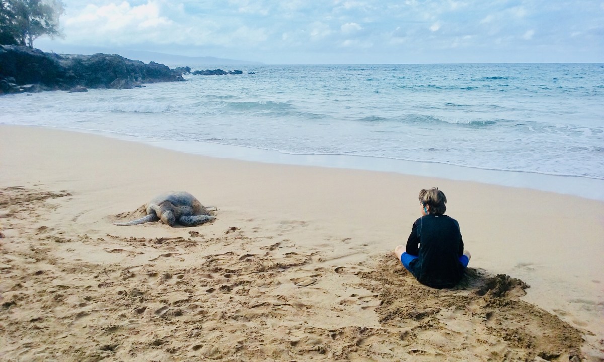 How to Obtain Proper Testing for the Gifted Underachiever ...